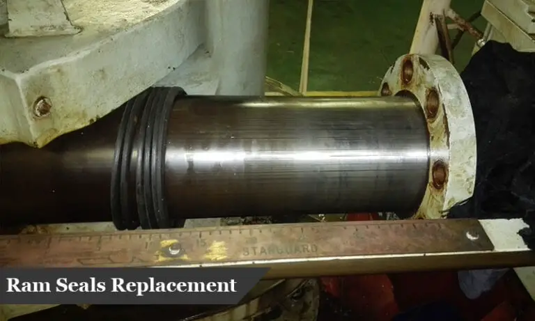 Professionals' Guide to Ship Rudder and Steering System