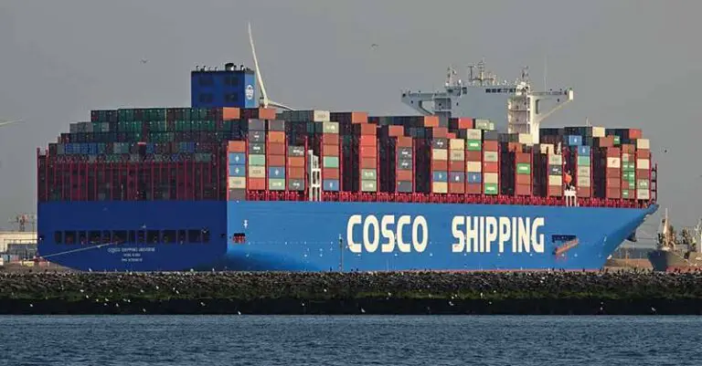 Top 10 List of World's Largest Container Ships in 2025 - Workshop Insider