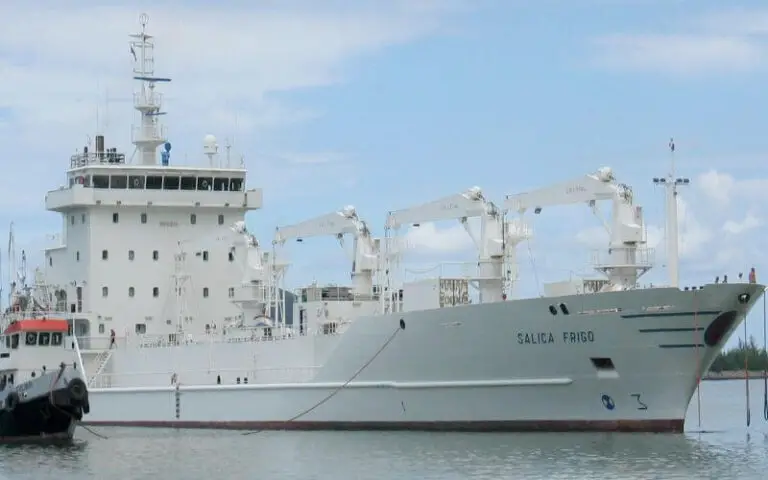 Different Types of Ships: Insights into Various Ship Types